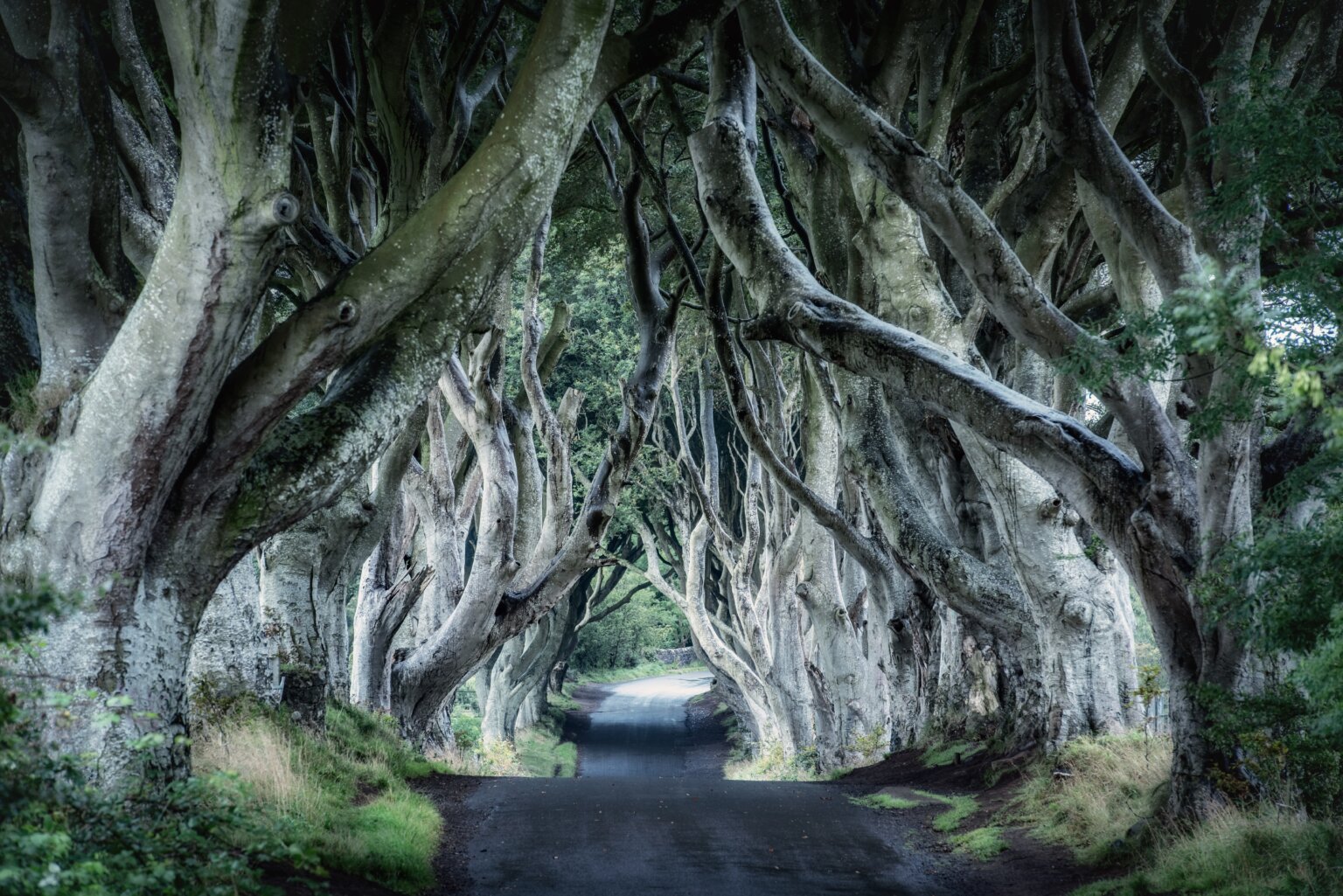 10 Magical Places in Northern Ireland (Straight Out of a Fairytale!)
