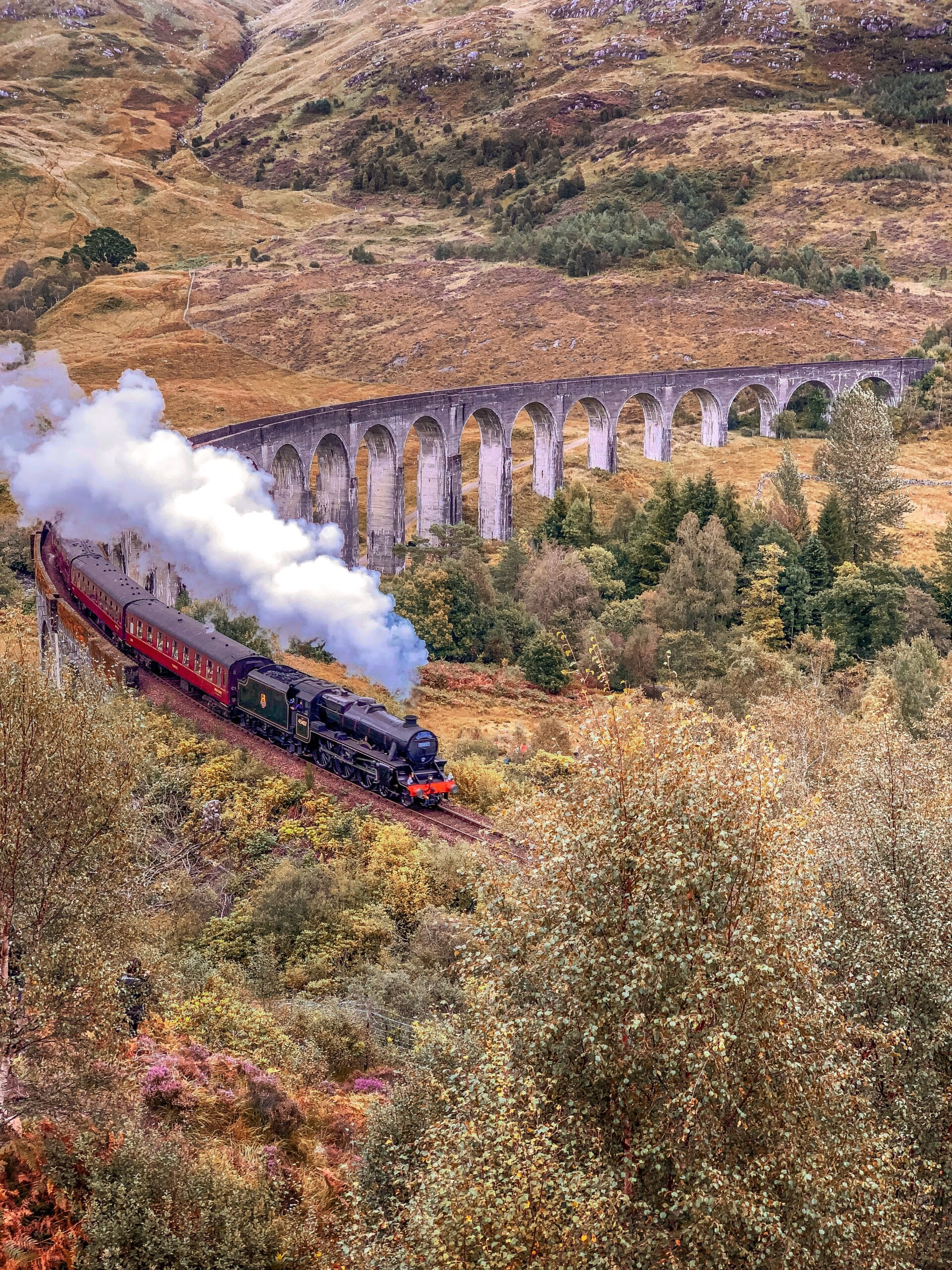 The Ultimate Guide to DracoTok, The Best TikTok Trend of 2020 - Geek ...