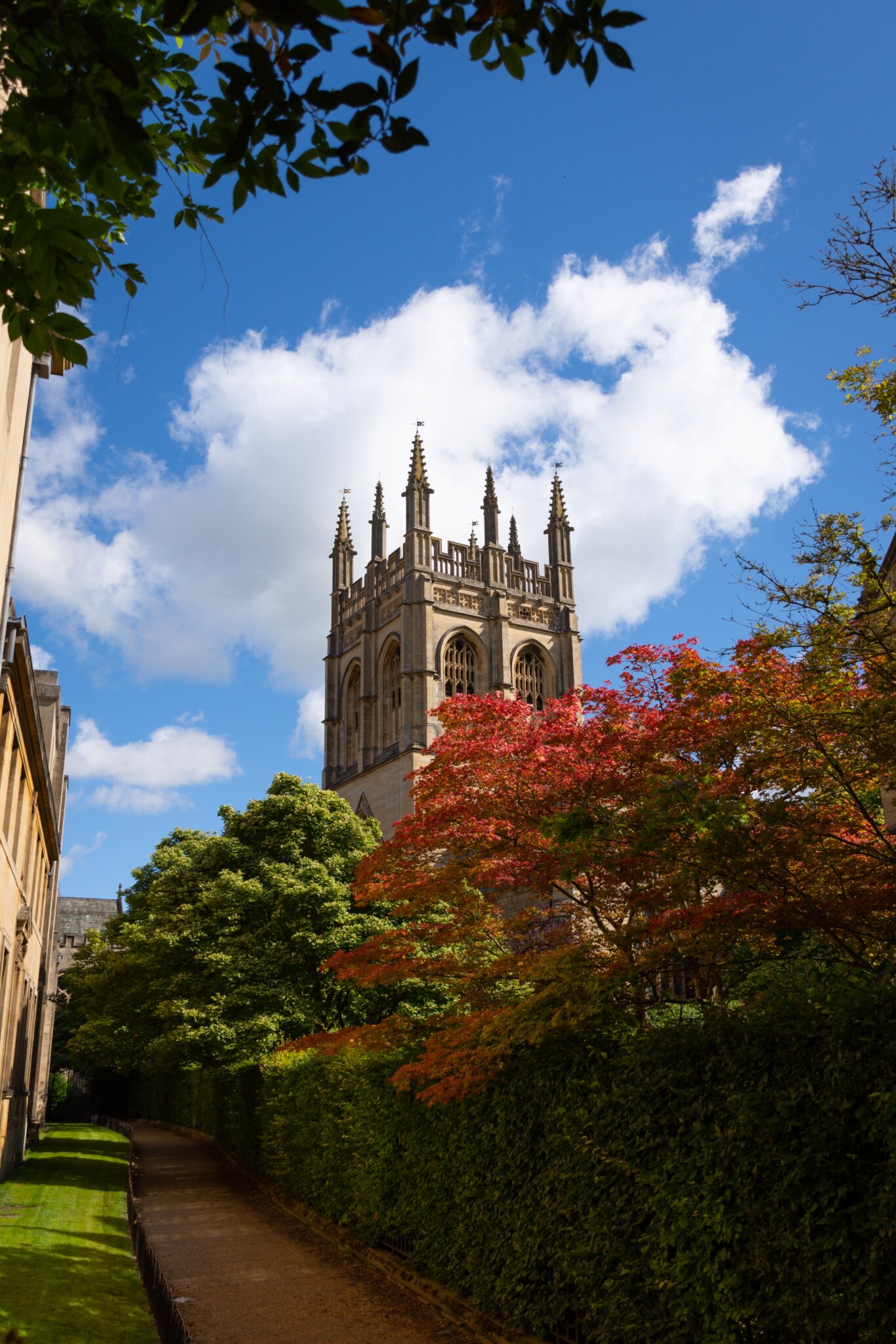 Reality Shifting to Hogwarts: Methods, Scripts & Resources!