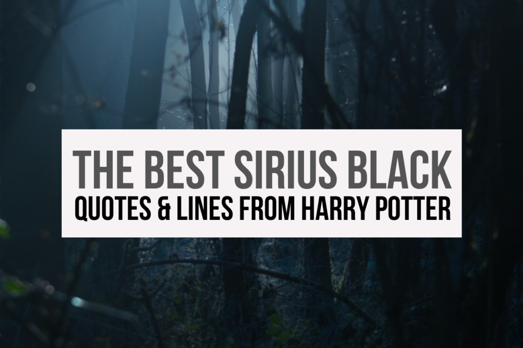 The 30+ Best Sirius Black Quotes & Lines from Harry Potter - Geek Trippers